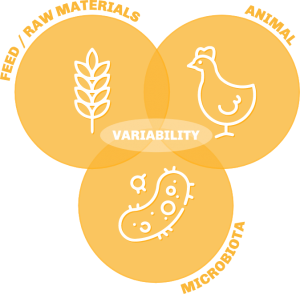 Managing protein in the gut : The benefits for poultry production ...