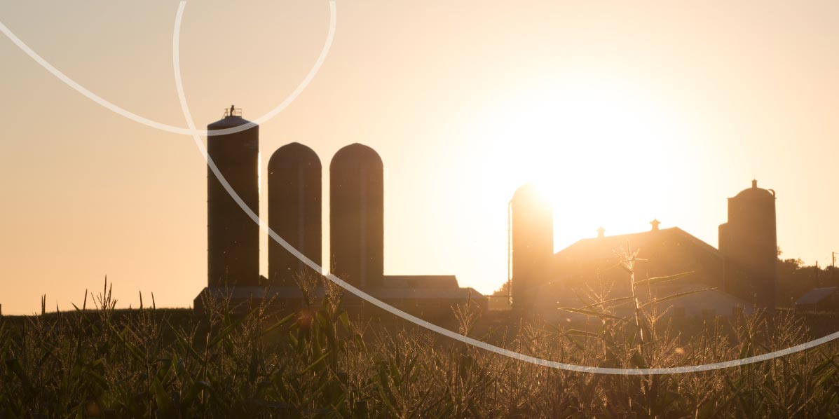 Jefo’s precision nutrition solutions - Solutions JEFO