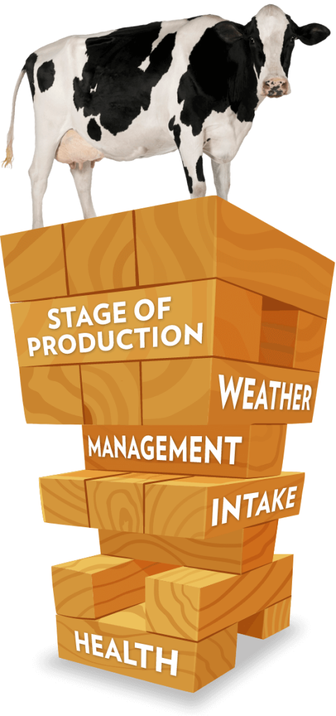 Which stressors impact your cows? - Solutions JEFO